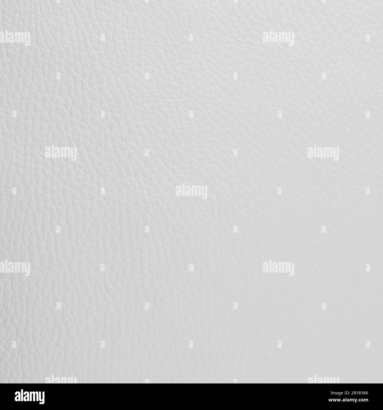 White leather texture closeup Stock Photo - Alamy