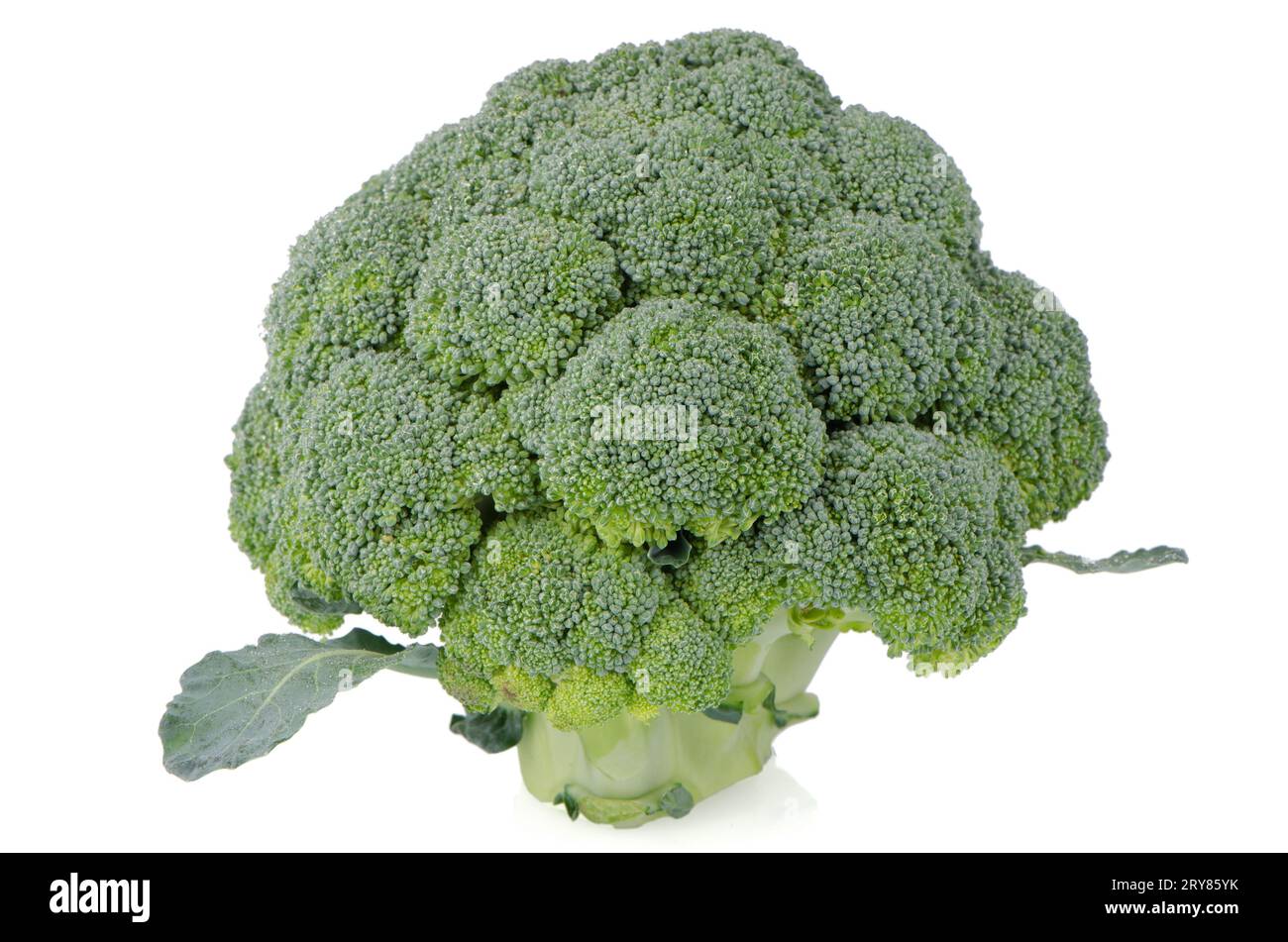 Broccoli single objects vegetables hi-res stock photography and images ...