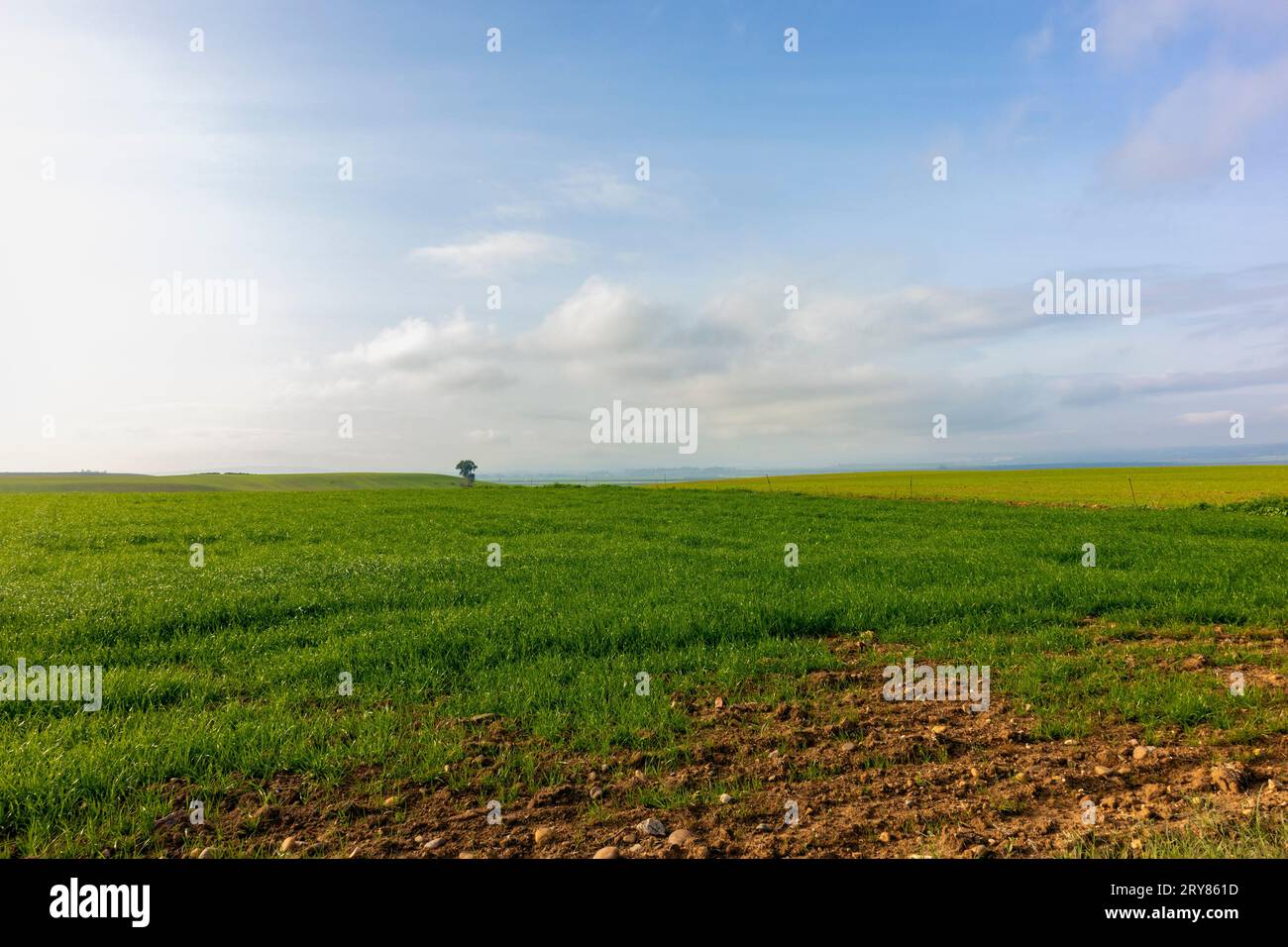 Lonely environment hi-res stock photography and images - Alamy