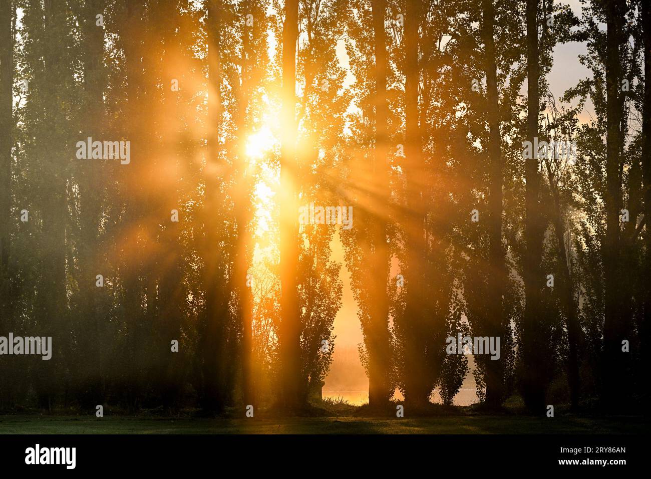 Sun beaming hi-res stock photography and images - Alamy