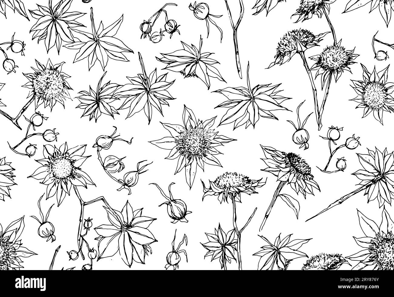 Vectorized black line flower vector pattern on white background, dried ... Vectorized black line flower vector pattern on white background, dried ...