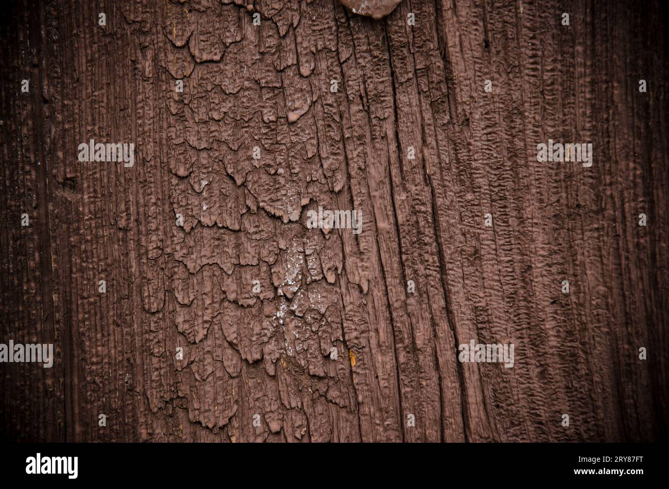 Old wood grain texture hi-res stock photography and images - Alamy