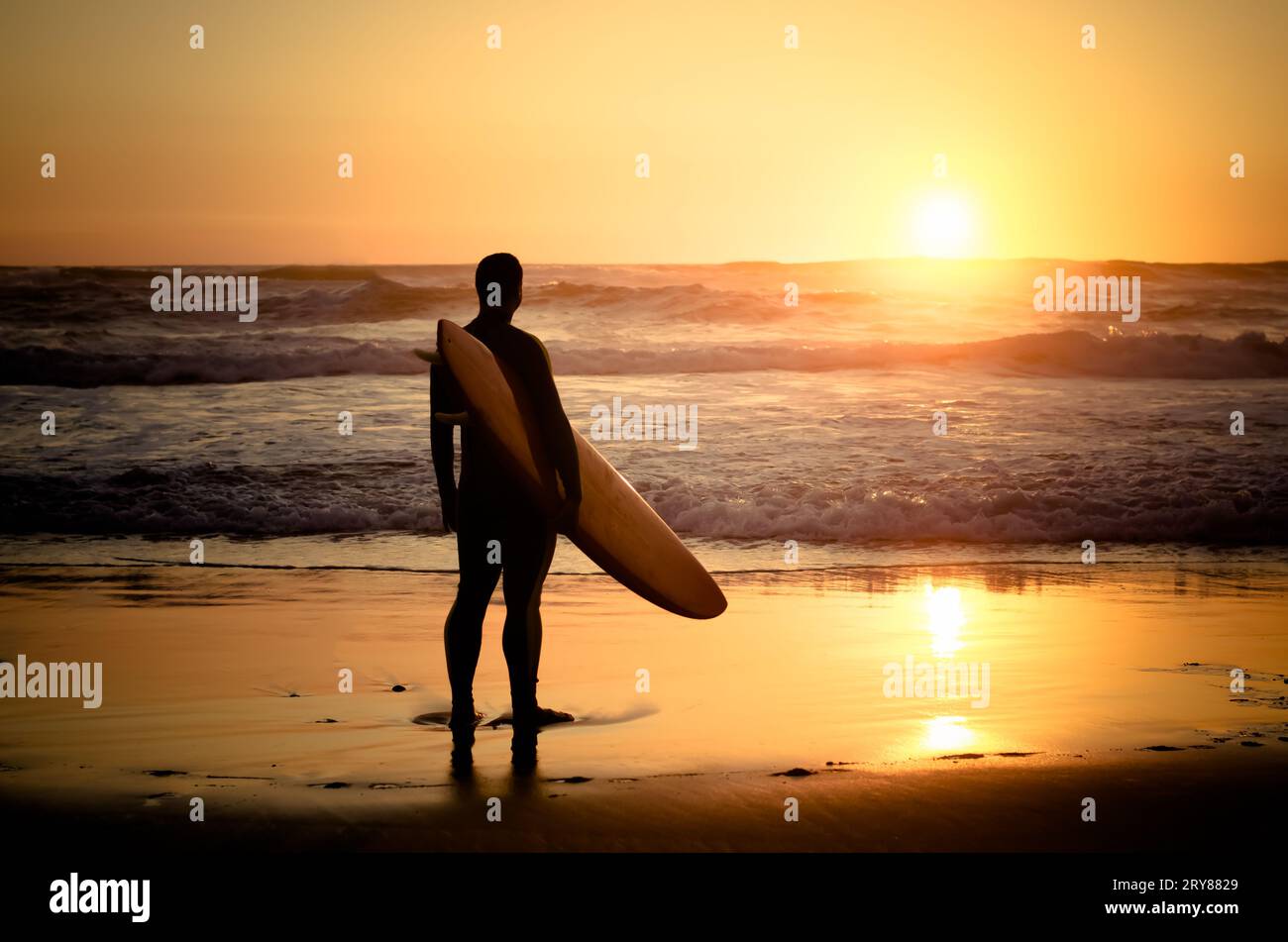 Surfer watching ocean waves hi-res stock photography and images - Alamy