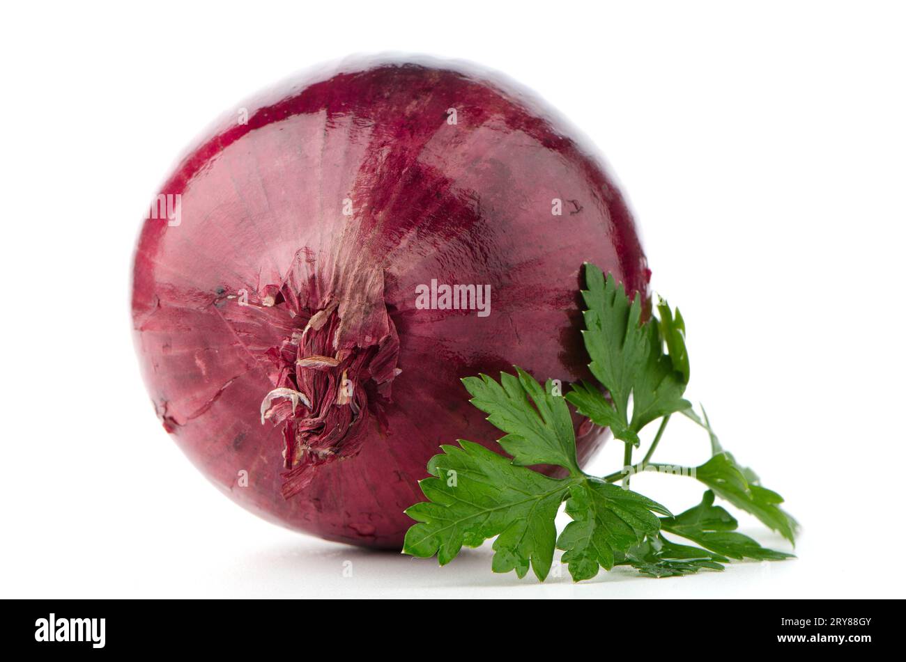 Large tuber hi-res stock photography and images - Alamy