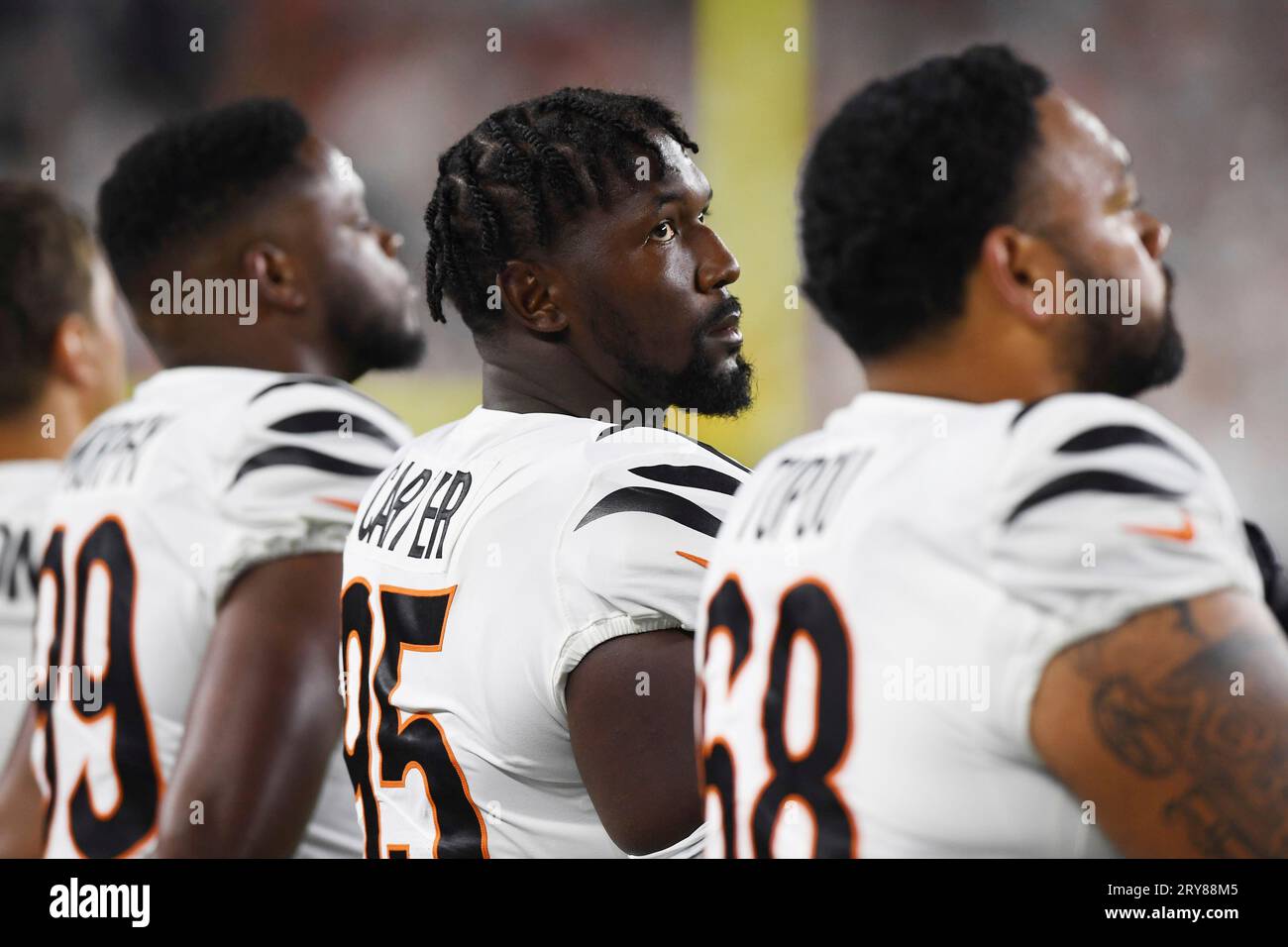 Cincinnati Bengals defensive tackle Zach Carter (95) stands for the ...