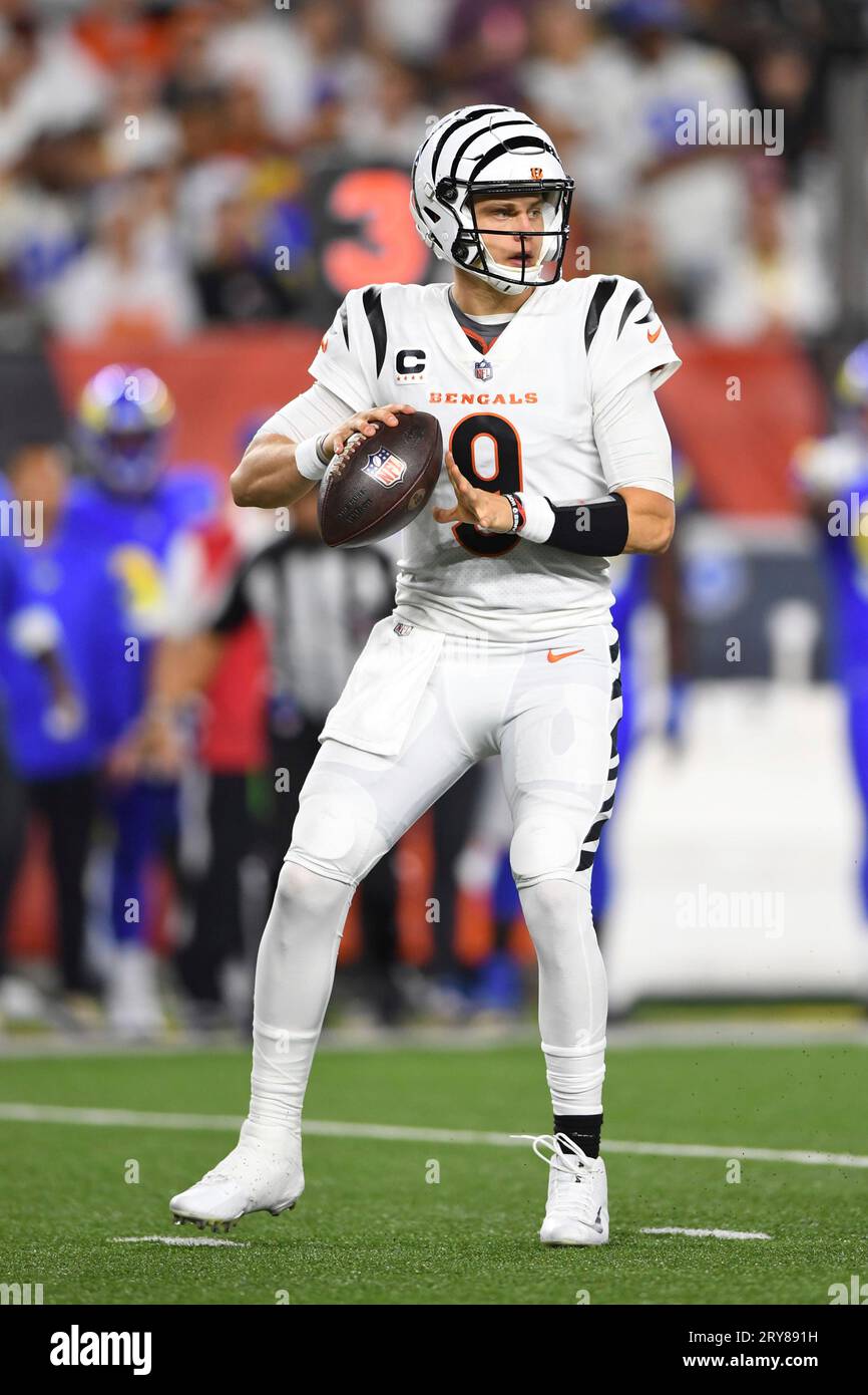 Cincinnati Bengals quarterback Joe Burrow (9) drops back to pass during ...