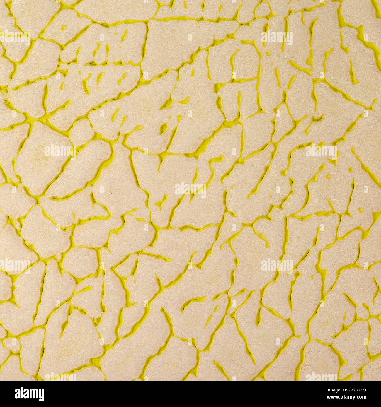 Orange yellow skin hi-res stock photography and images - Alamy