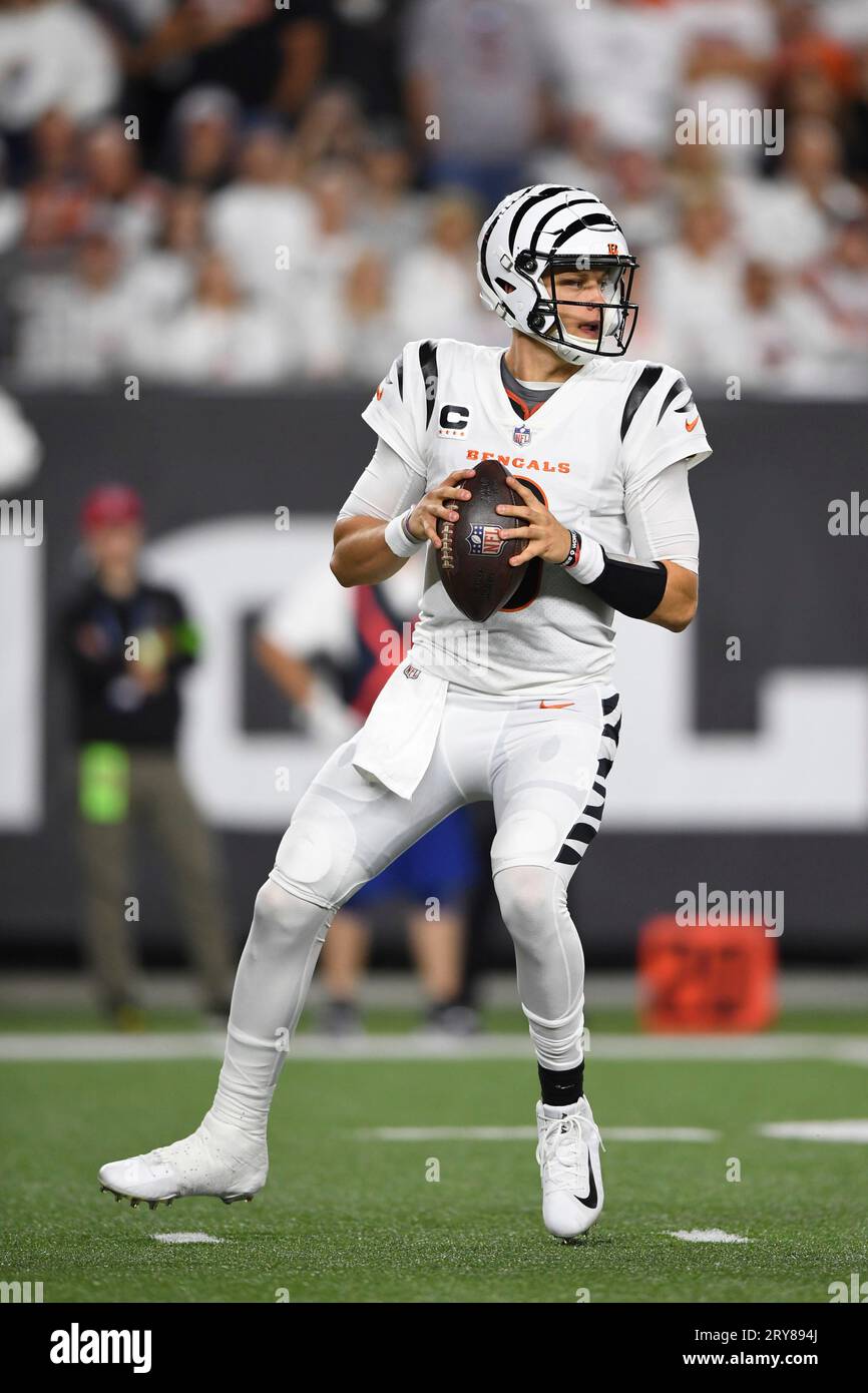 Cincinnati Bengals quarterback Joe Burrow (9) drops back to pass during ...