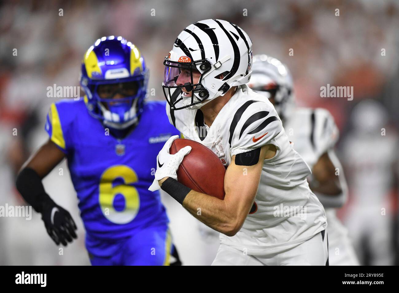 Cincinnati Bengals wide receiver Charlie Jones (15) carries the ball ...