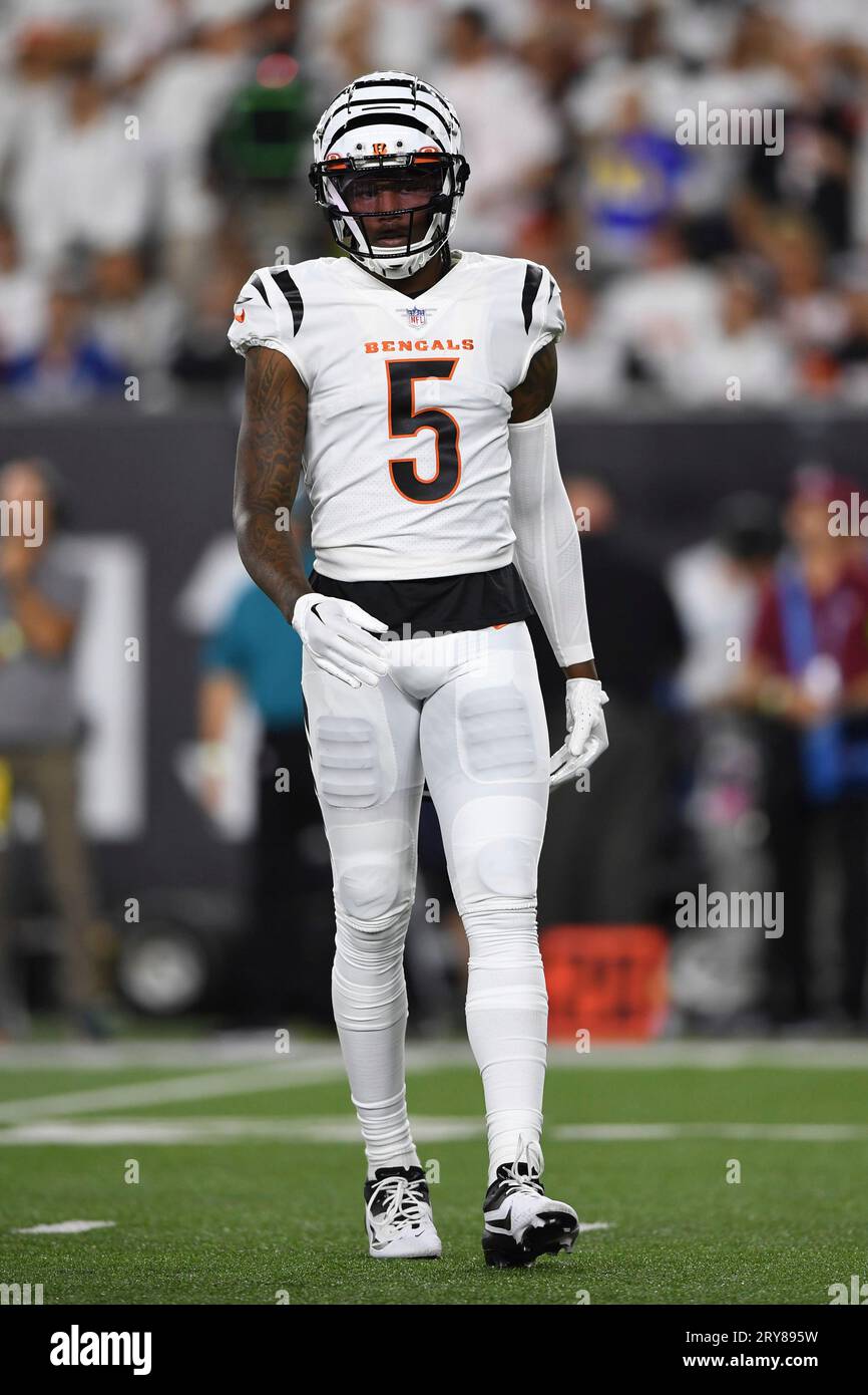 Cincinnati Bengals wide receiver Tee Higgins (5) during an NFL football ...
