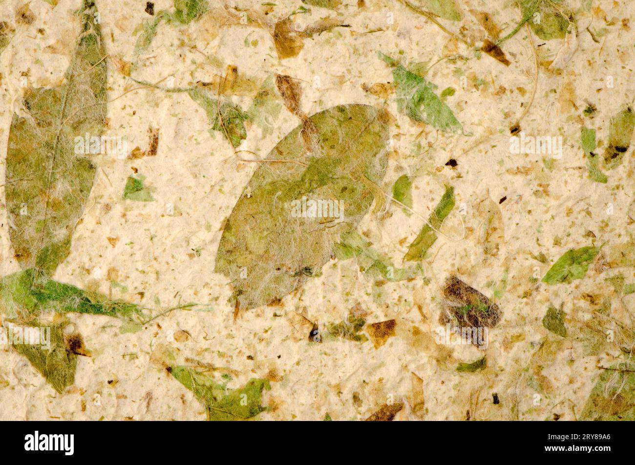 Hand pressed paper hi-res stock photography and images - Alamy