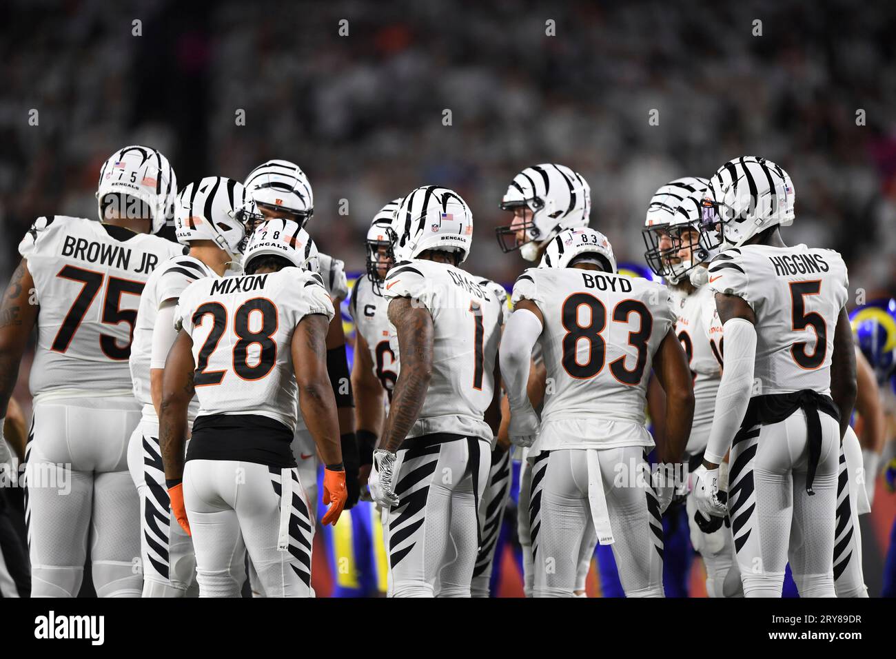 Cincinnati Bengals running back Joe Mixon (28), wide receiver Ja'Marr Chase (1), wide receiver ...