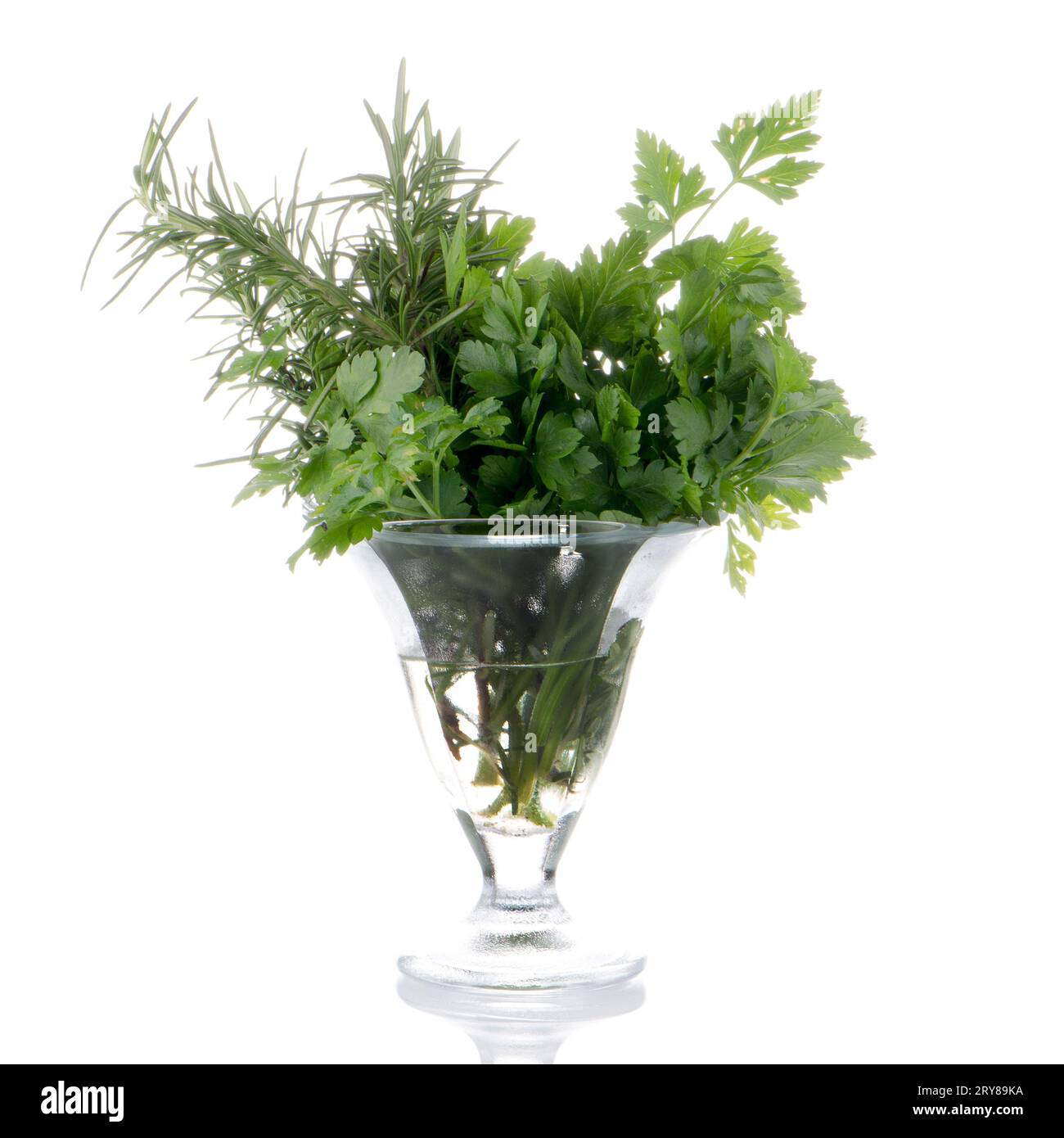 Fresh celery herbs isolated hi-res stock photography and images - Alamy