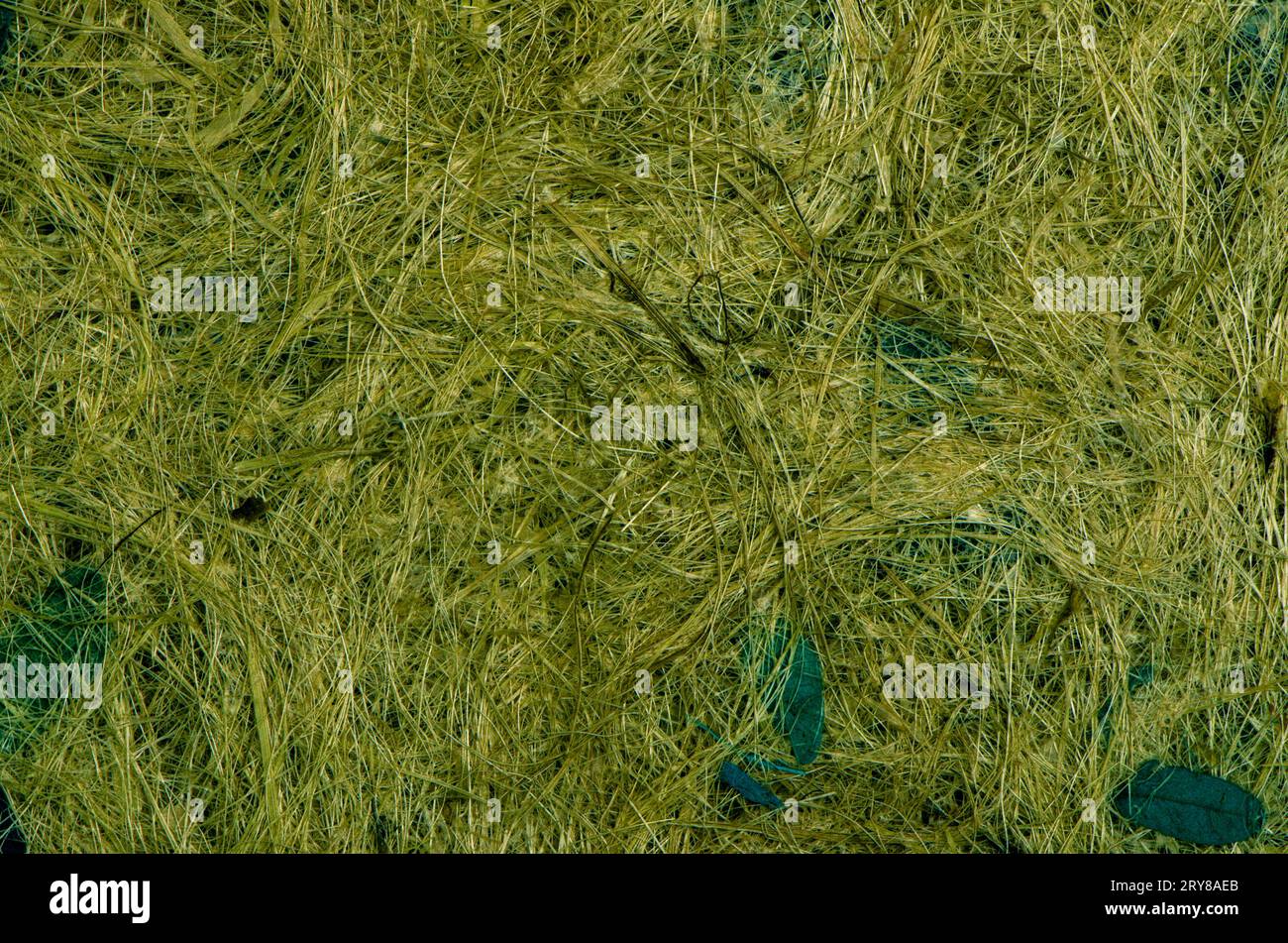 Handmade straw texture Stock Photo - Alamy