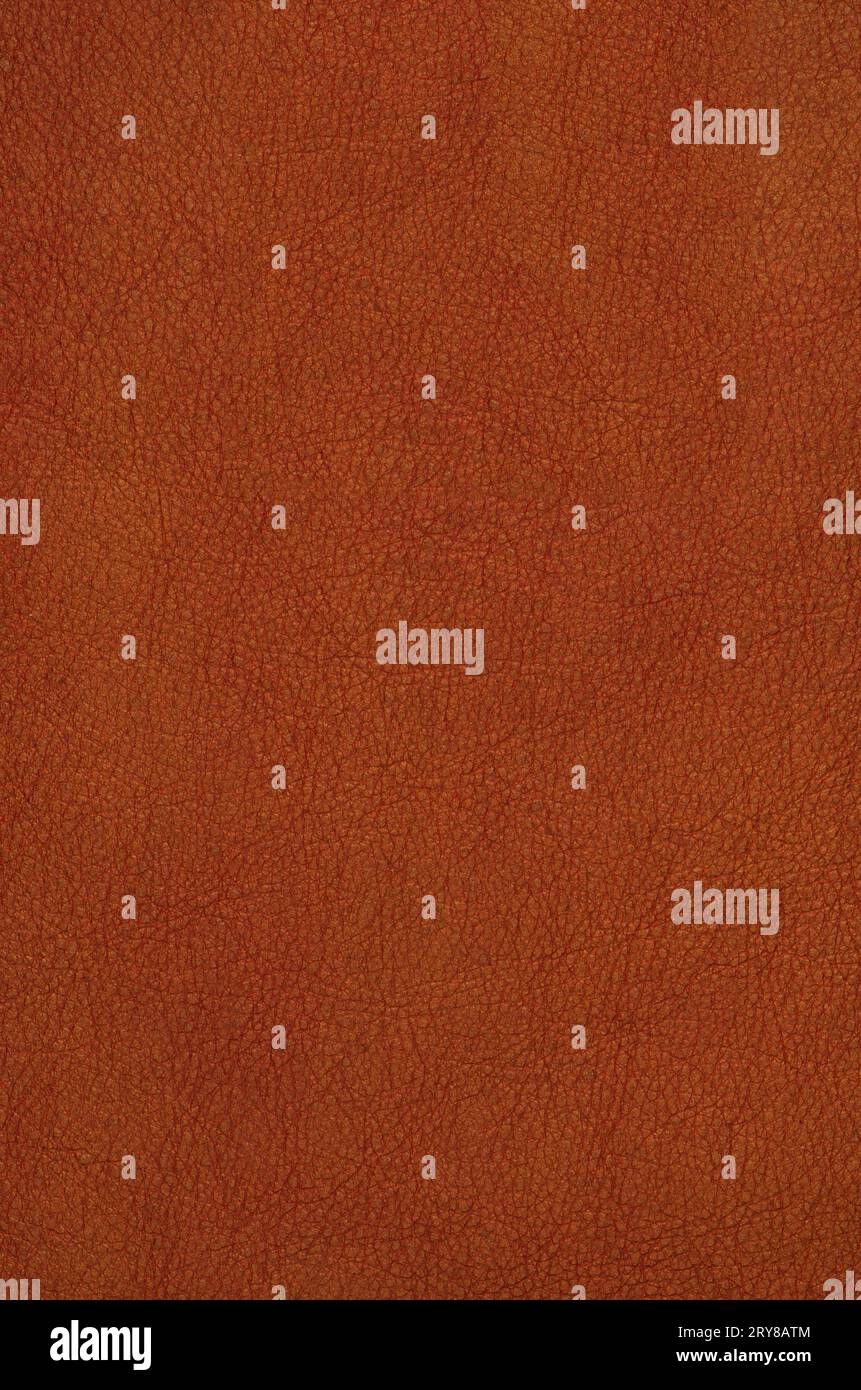 Orange leather background Stock Photo - Alamy