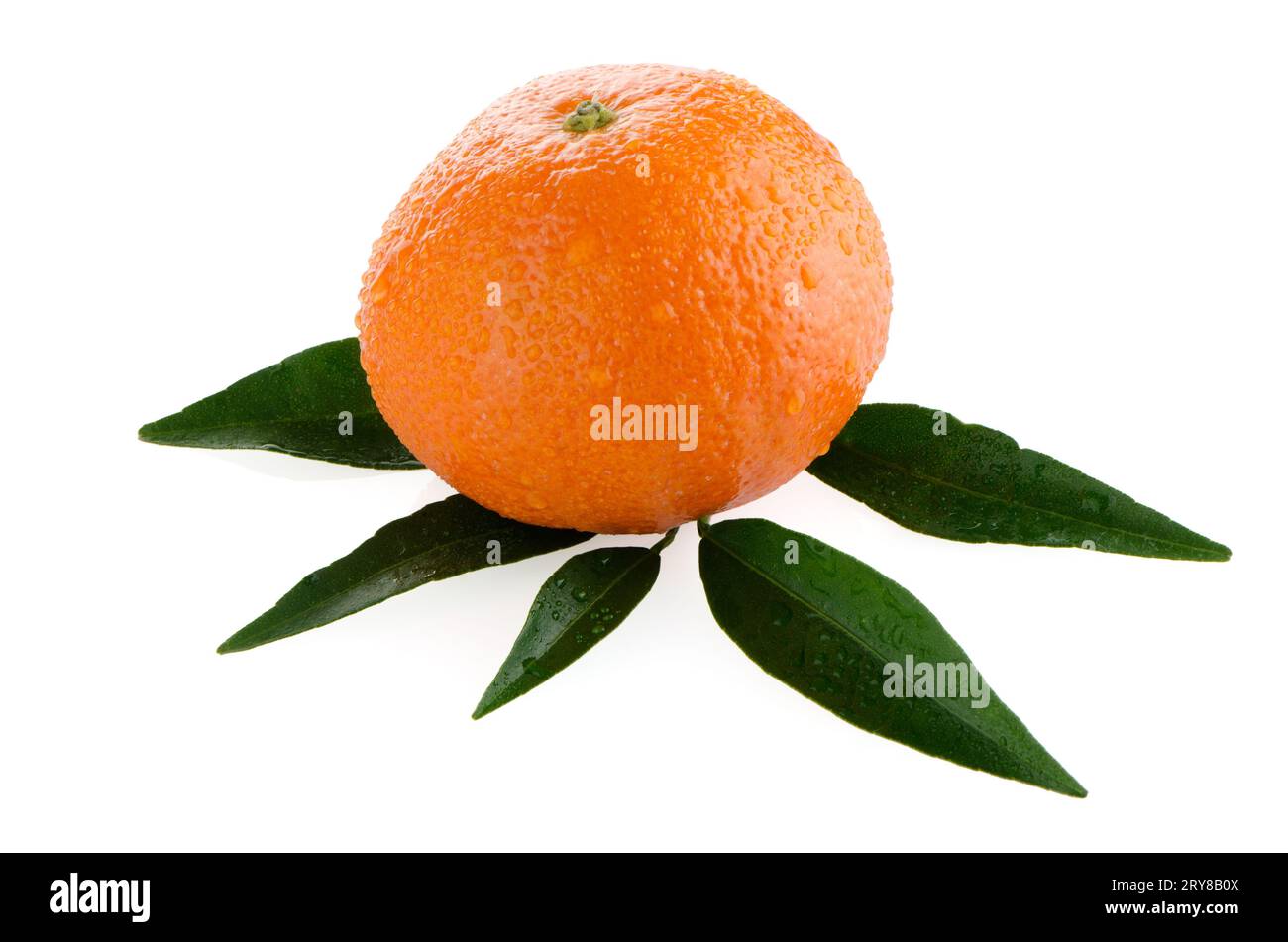 Fresh orange mandarin Stock Photo - Alamy