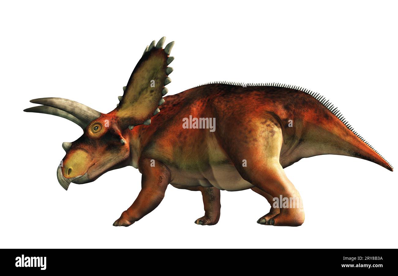 Quadrupedal species Cut Out Stock Images & Pictures - Alamy