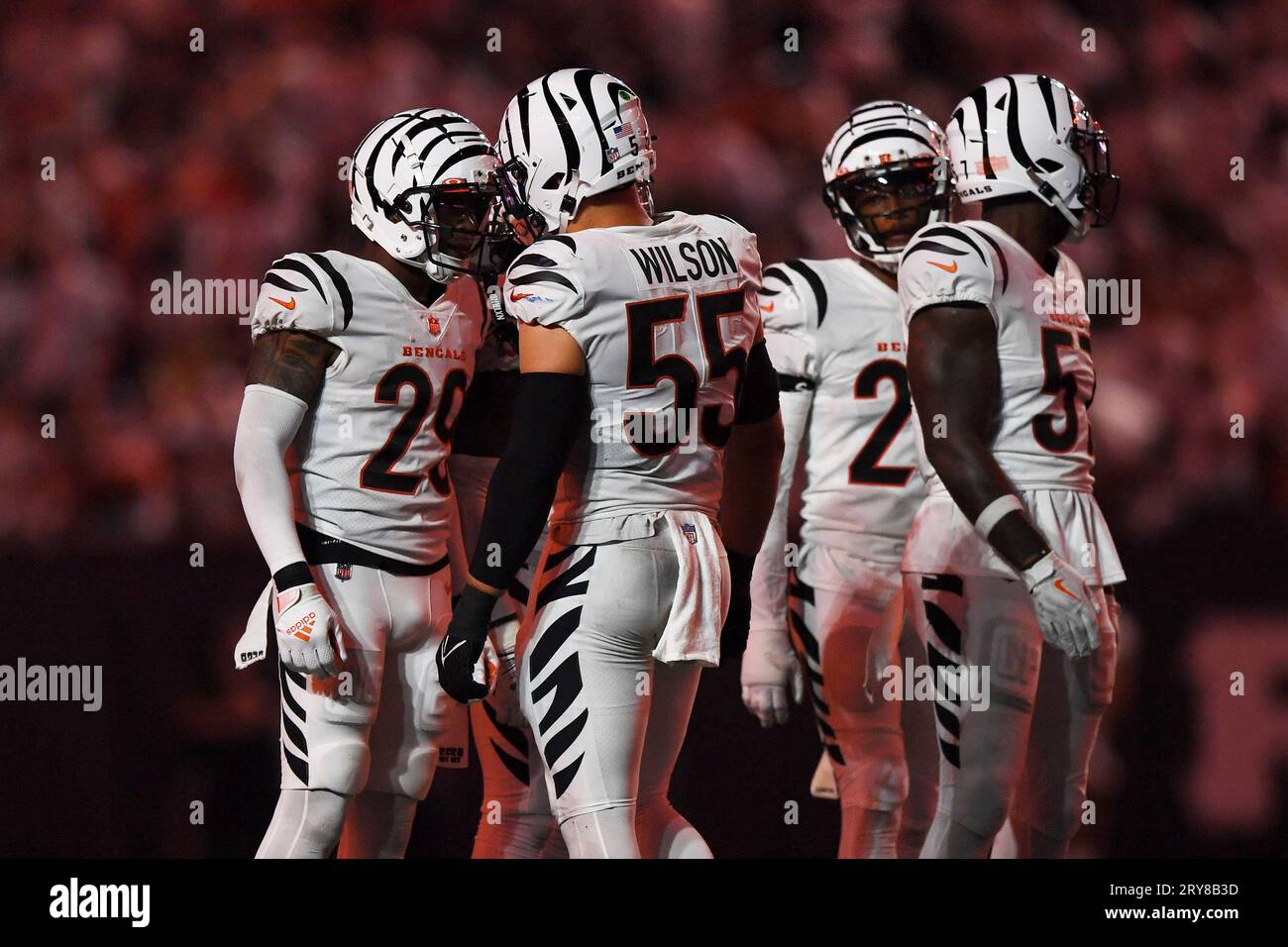 Cincinnati Bengals cornerback Cam Taylor-Britt (29) talks to safety ...