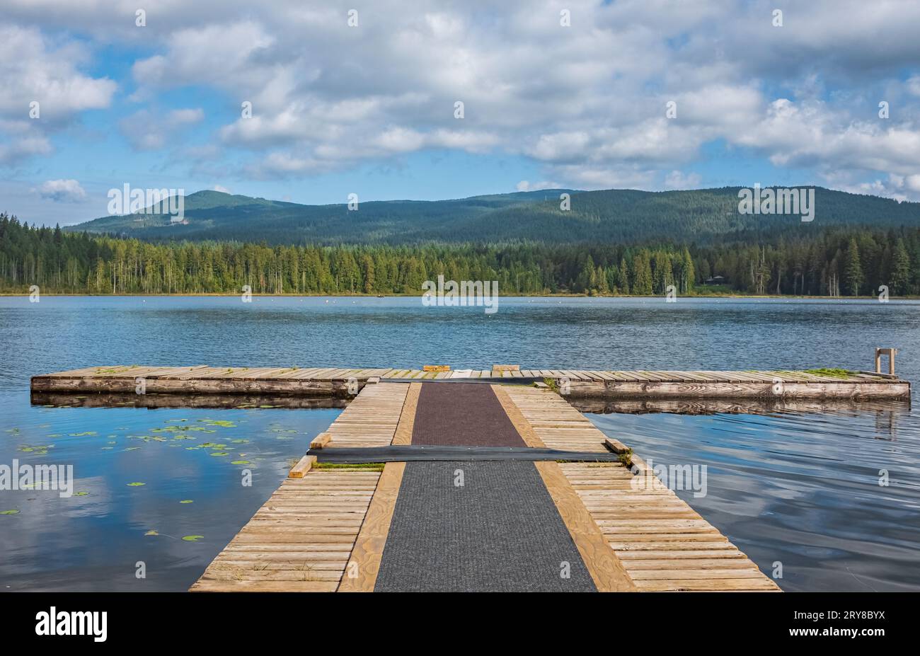 Mole, pier or wooden deck on the blue lake. Wooden bridge on forest ...