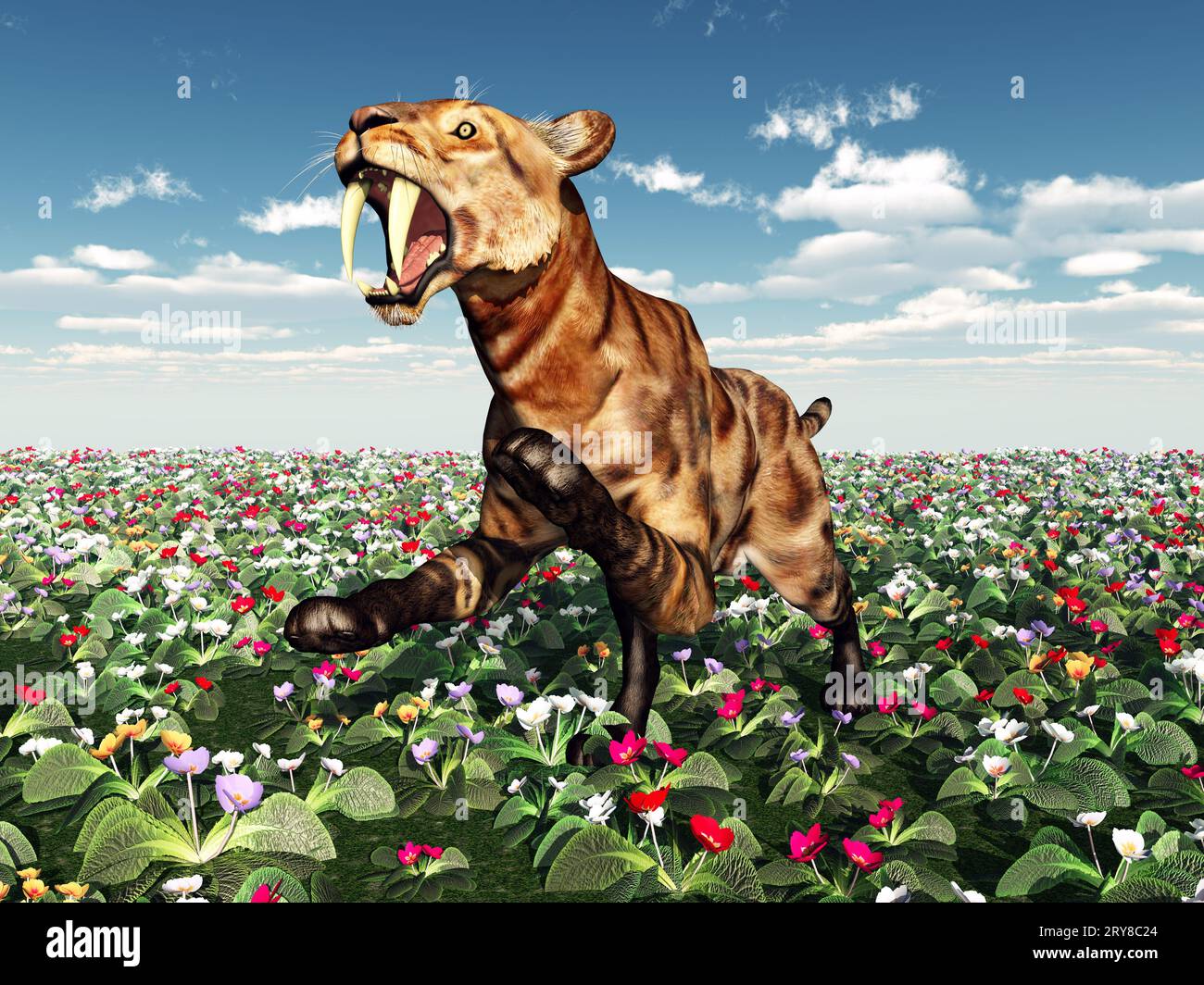 Saber-Toothed Cat Smilodon Stock Photo - Alamy