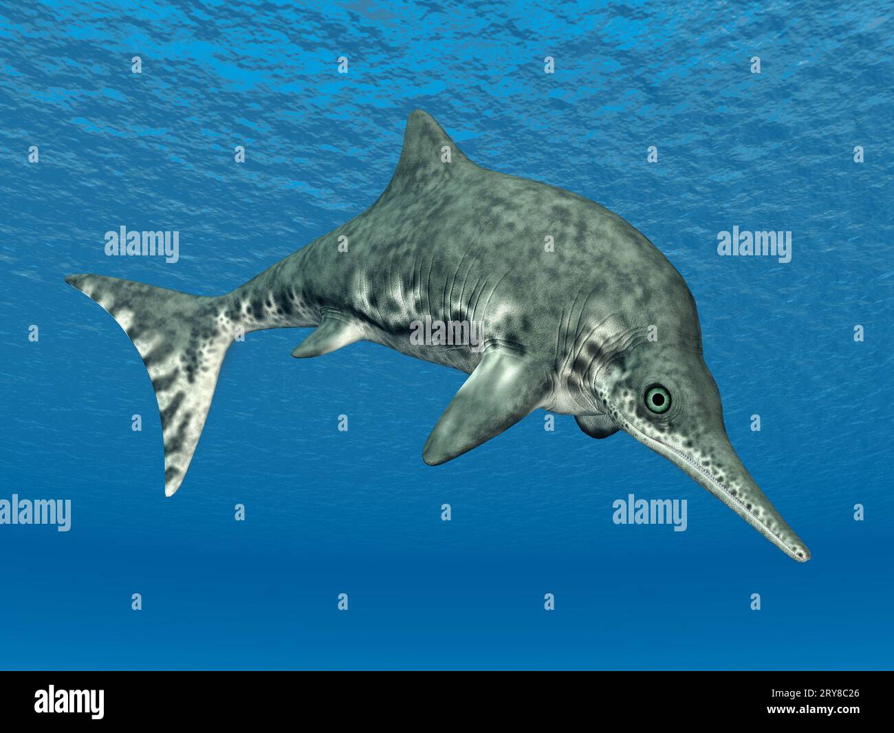 Ichthyosaurier hi-res stock photography and images - Alamy