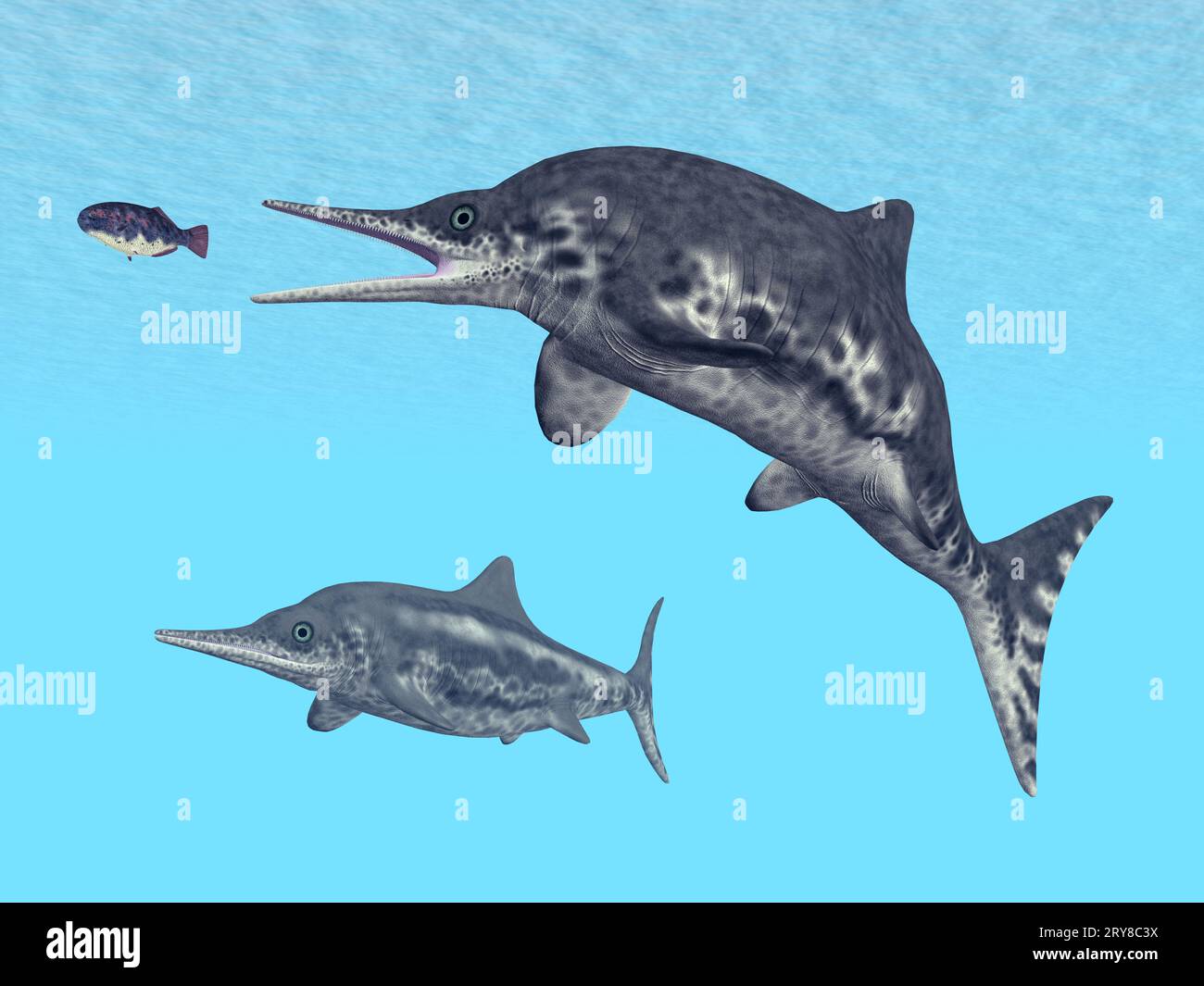 Ichthyosaur sea hi-res stock photography and images - Alamy