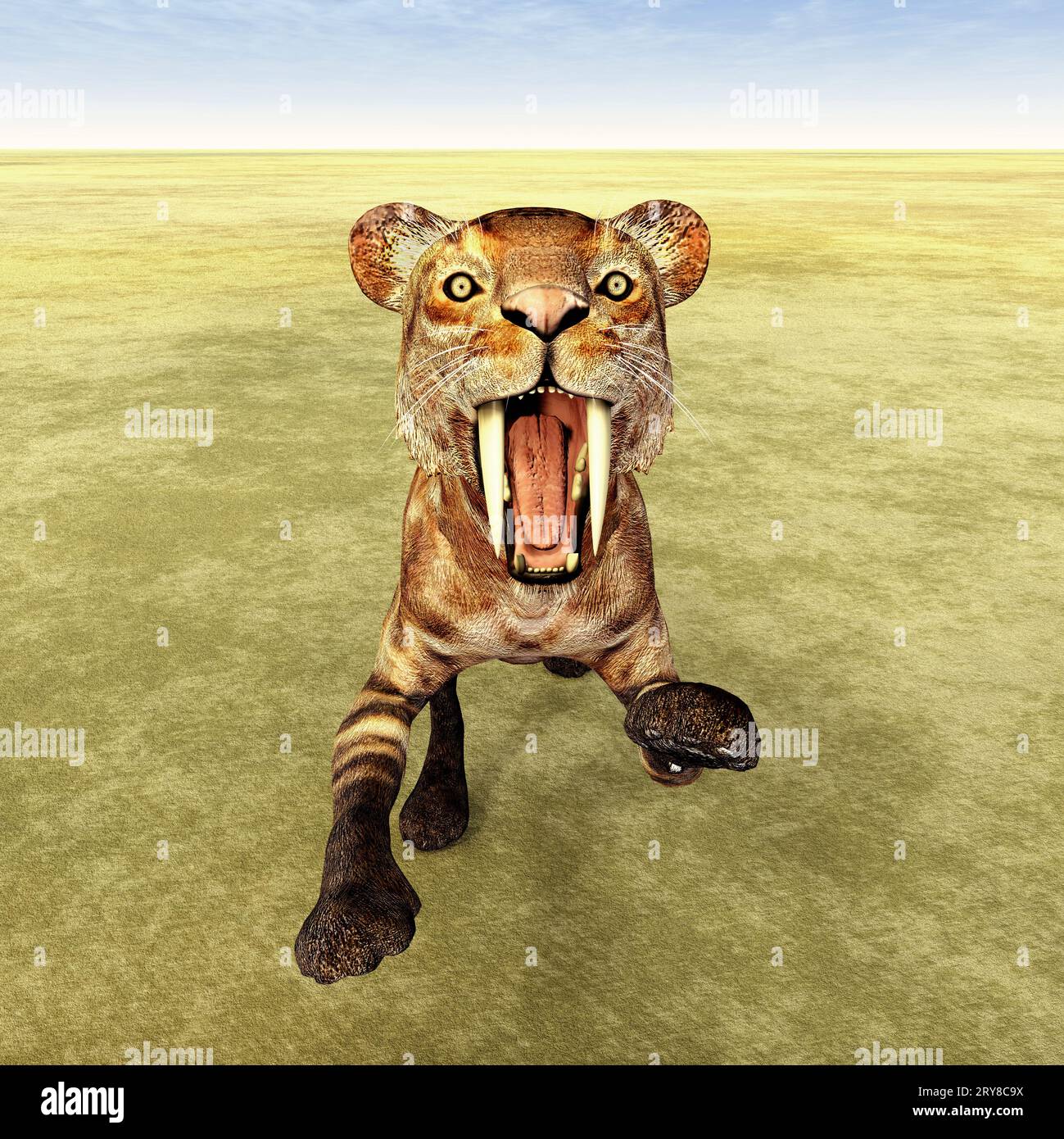 Saber-Toothed Cat Smilodon Stock Photo - Alamy
