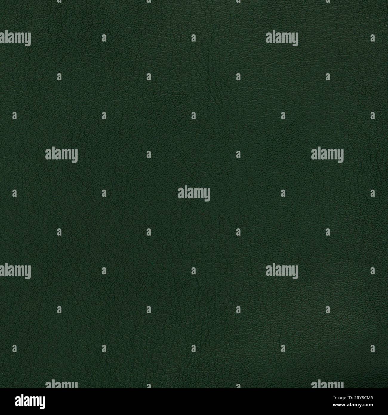 Green leather texture closeup Stock Photo - Alamy