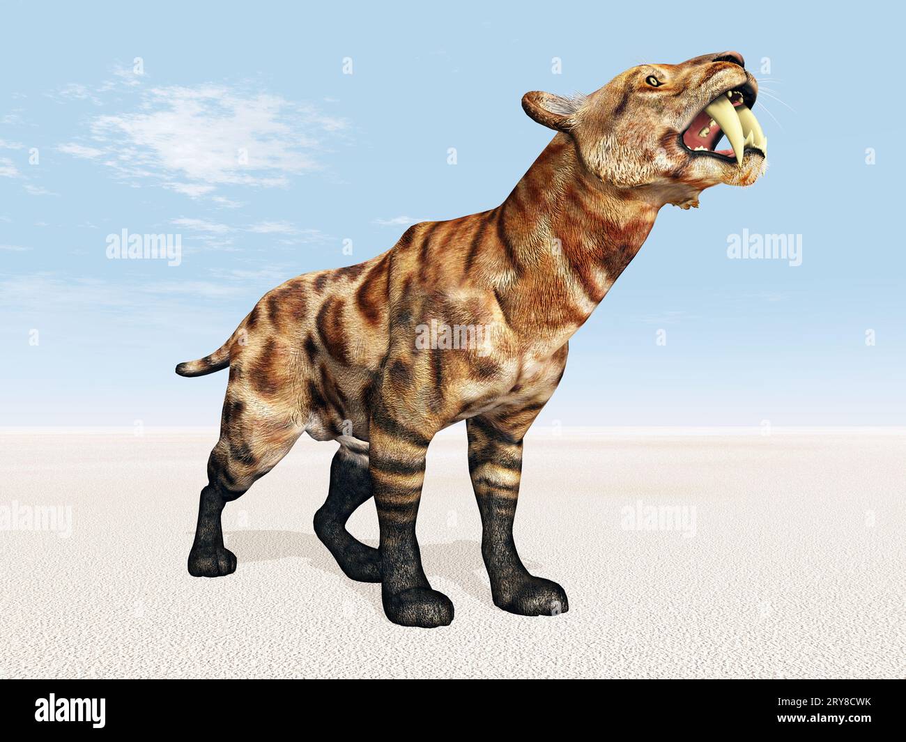 Saber-Toothed Cat Smilodon Stock Photo - Alamy