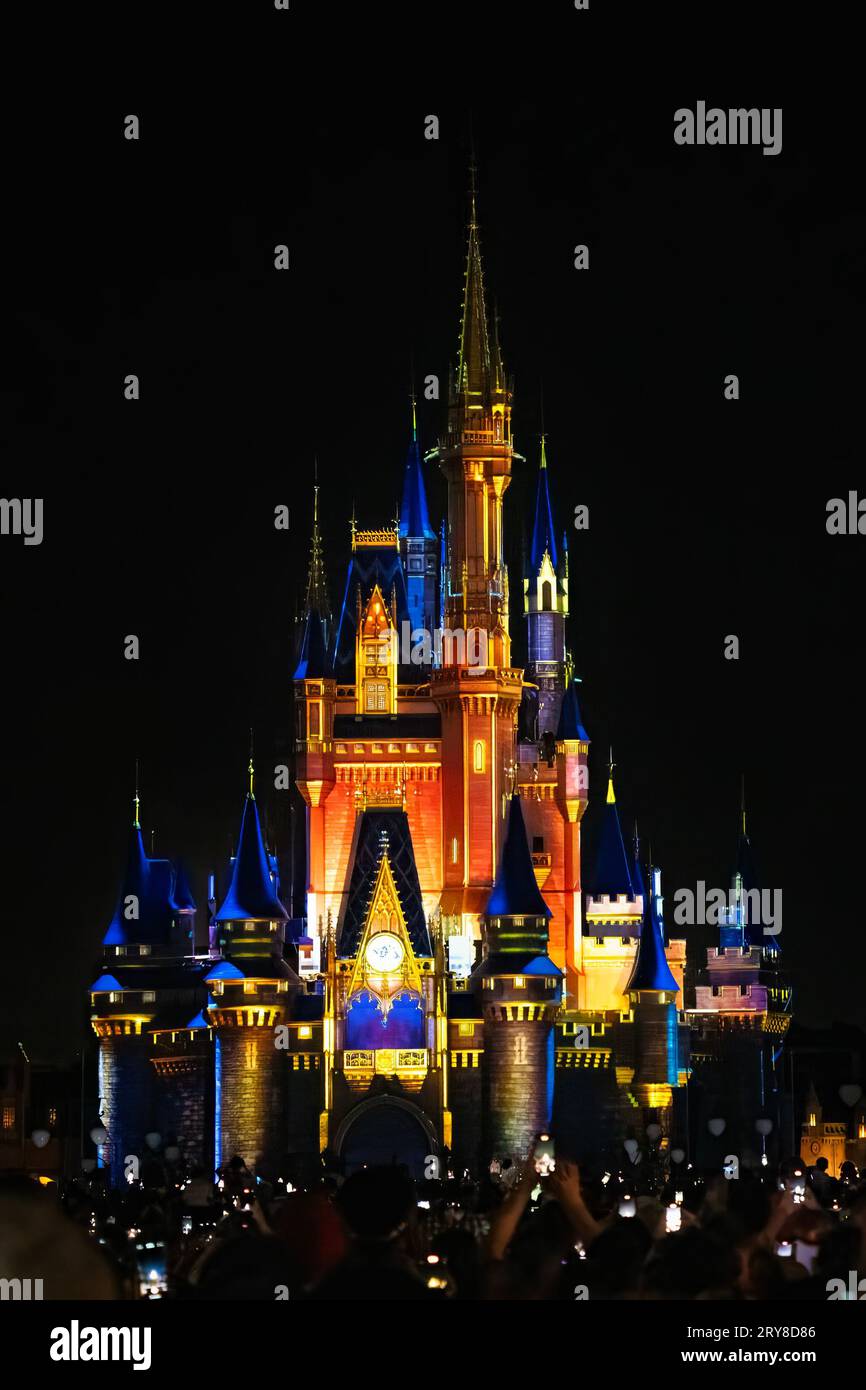 Orlando, USA - July 25th, 2023: A crowd of visitors in the Disney World ...