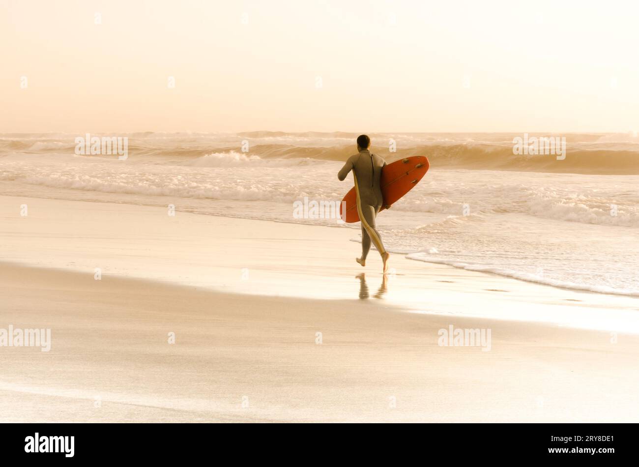 Silhouette surfer running sea hi-res stock photography and images - Alamy
