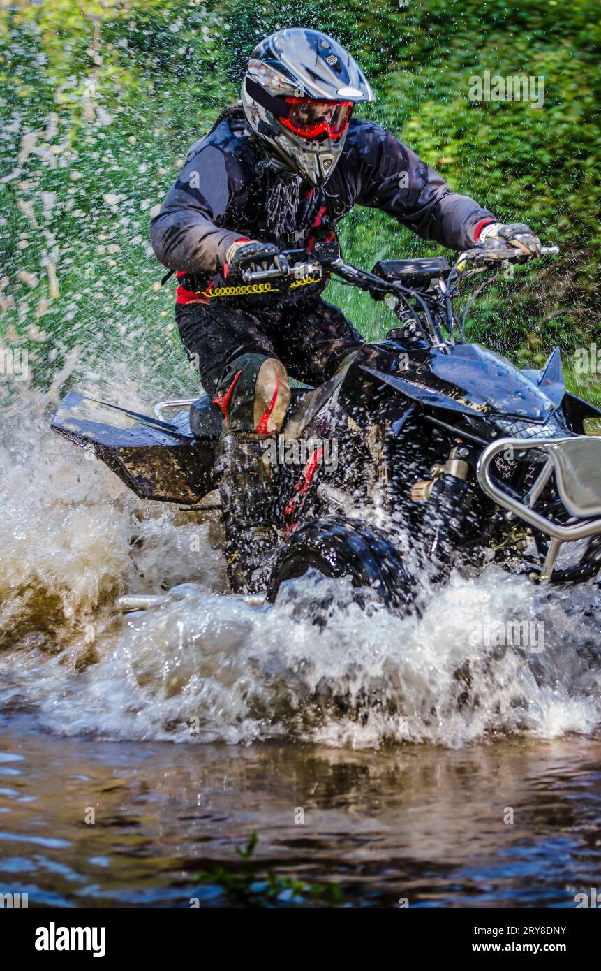 Driving through lush green forest hi-res stock photography and images ...
