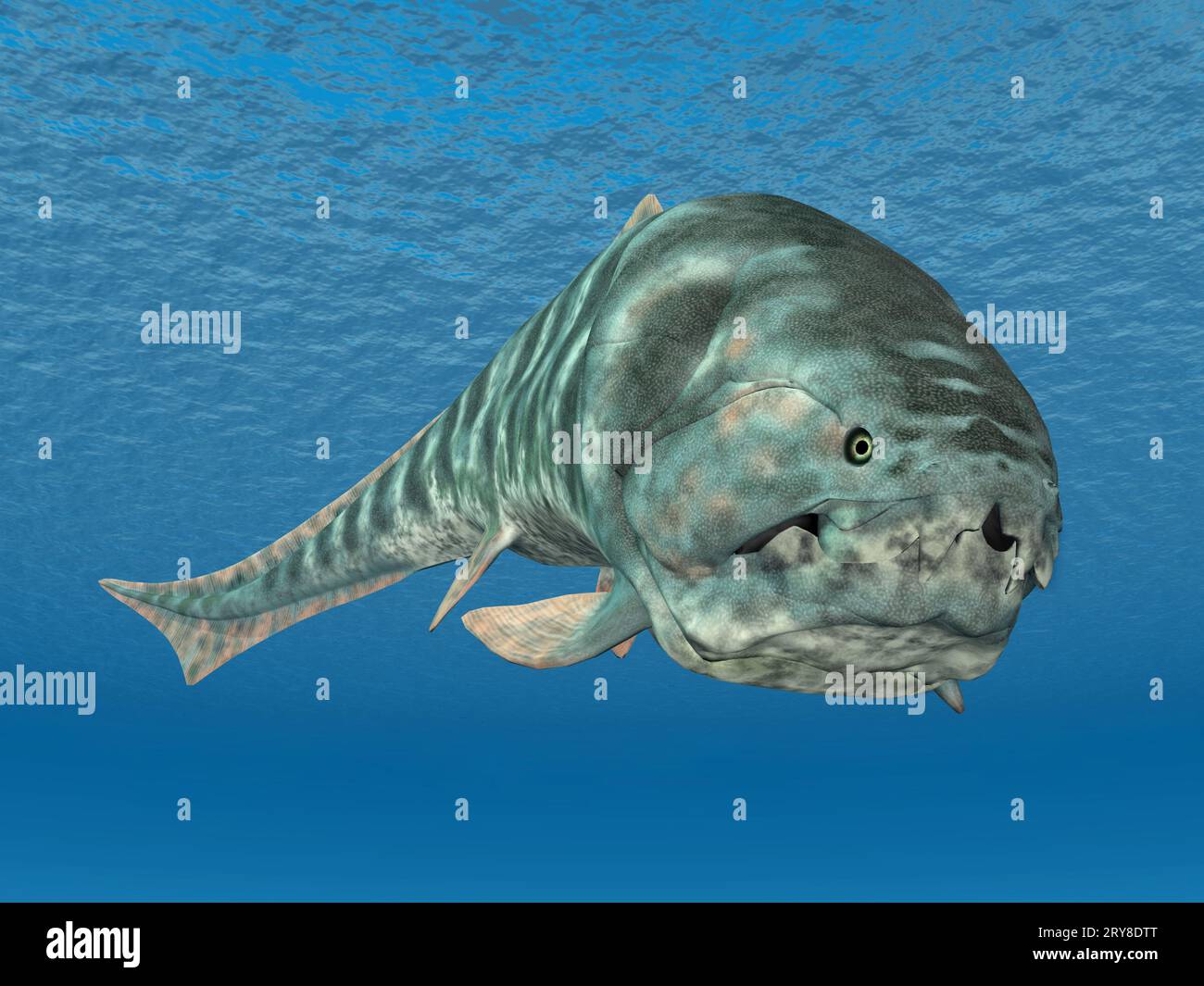 Dunkleosteus dunkleosteus hi-res stock photography and images - Alamy