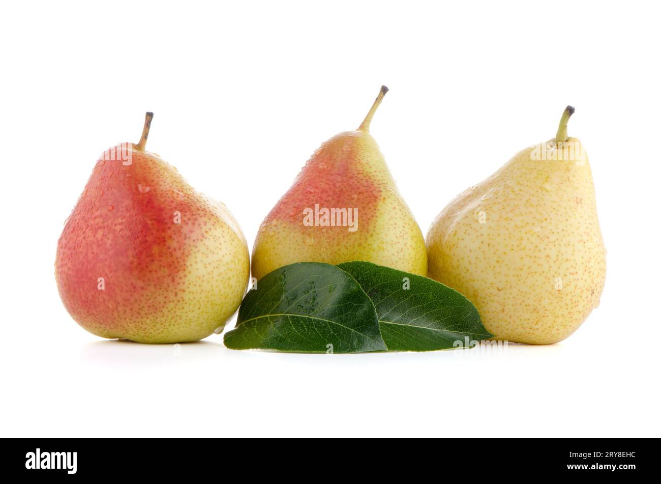 Shot three ripe juicy Cut Out Stock Images & Pictures - Alamy