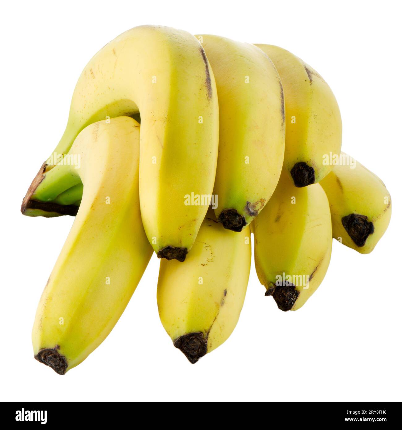 Bunch of bananas Stock Photo - Alamy