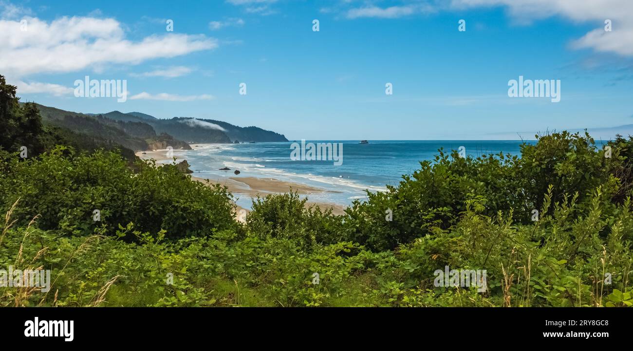 Oregon West coast, United States top view. Ocean landscape at ...