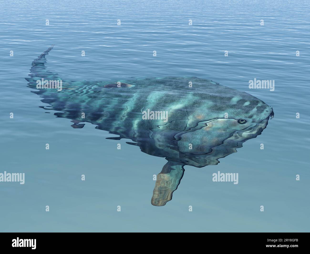 Dunkleosteus hi-res stock photography and images - Alamy