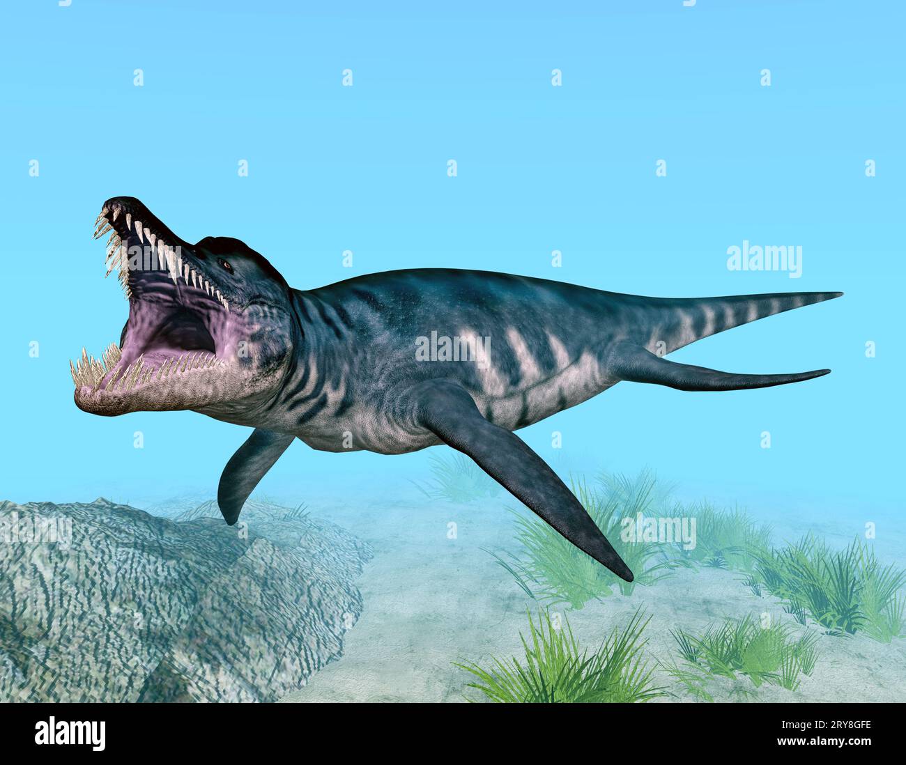 Liopleurodon hi-res stock photography and images - Alamy