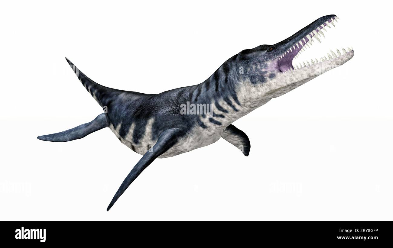 Liopleurodon hi-res stock photography and images - Alamy