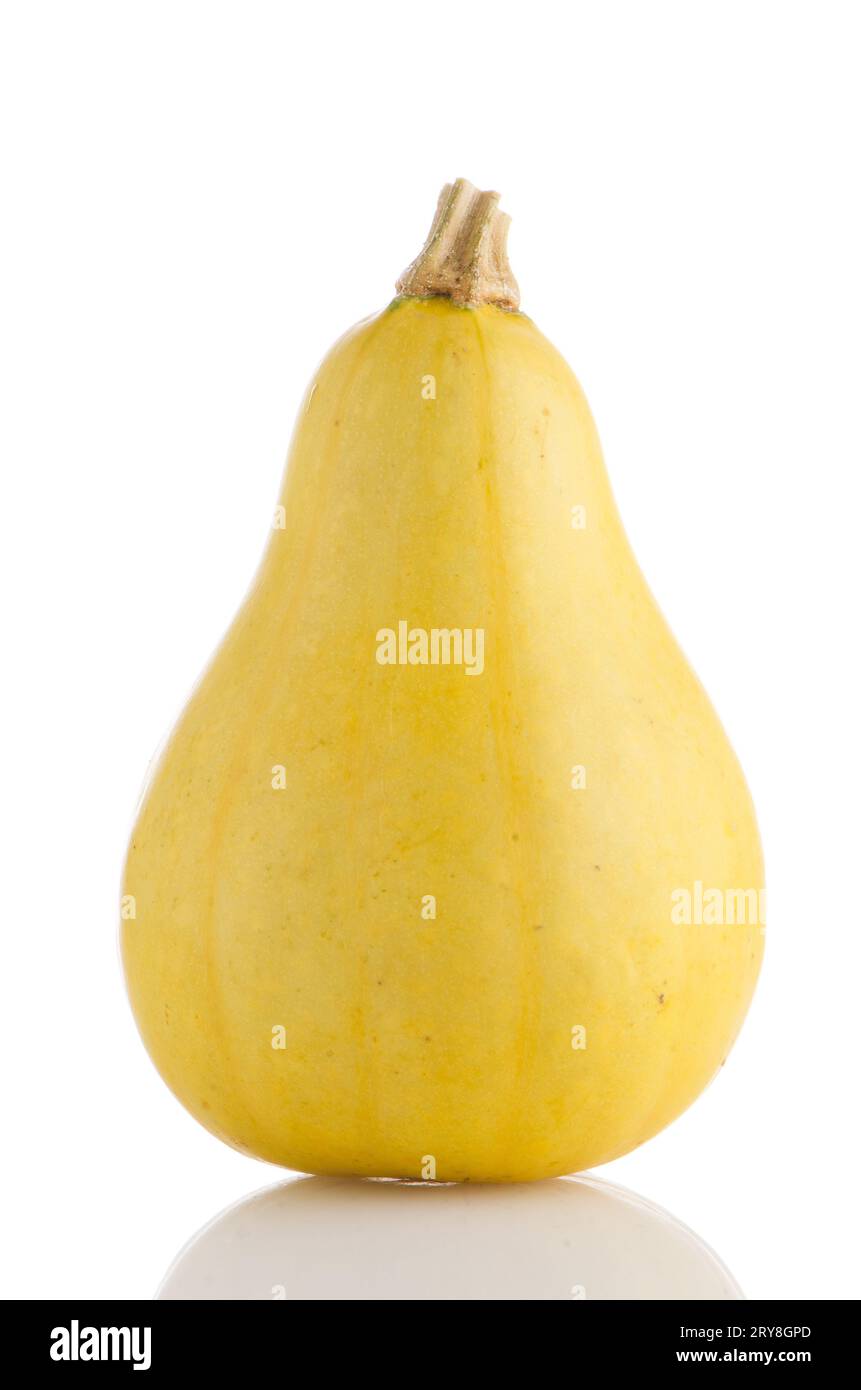 Miniature yellow pumpkin hi-res stock photography and images - Alamy