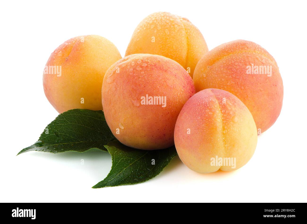 Sweet copy Cut Out Stock Images & Pictures - Alamy