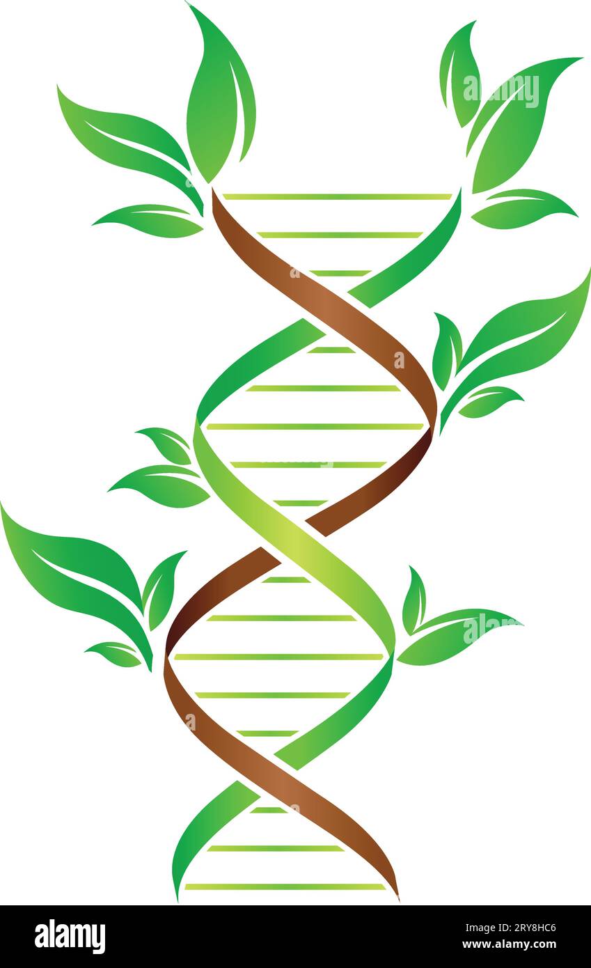 plant dna strand double helix concept icon green isolated on white ...