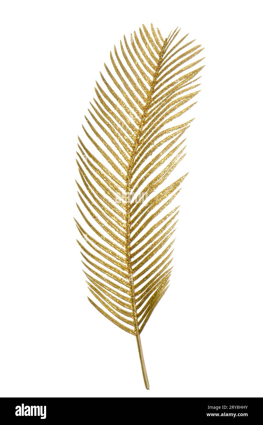 Golden feather hi-res stock photography and images - Alamy