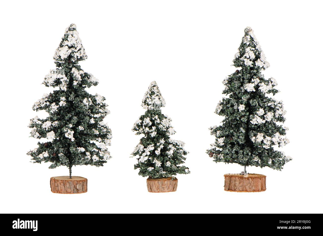 Miniature fir trees hi-res stock photography and images - Alamy