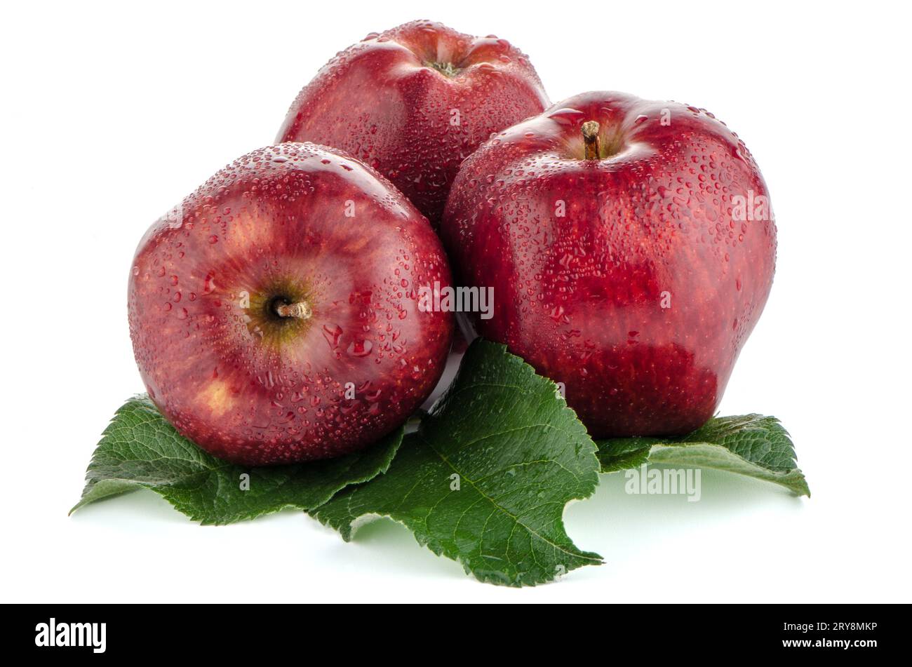 Ripe red apples harvest hi-res stock photography and images - Alamy