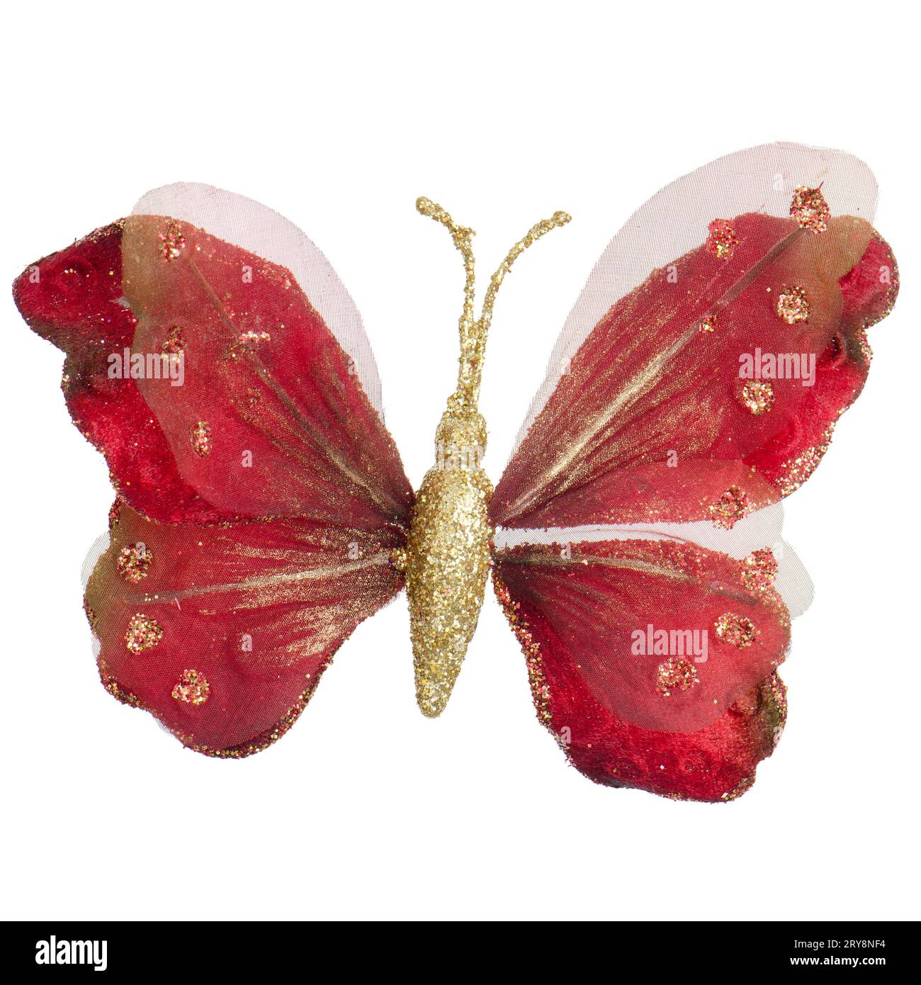 Seasonal butterfly hi-res stock photography and images - Alamy