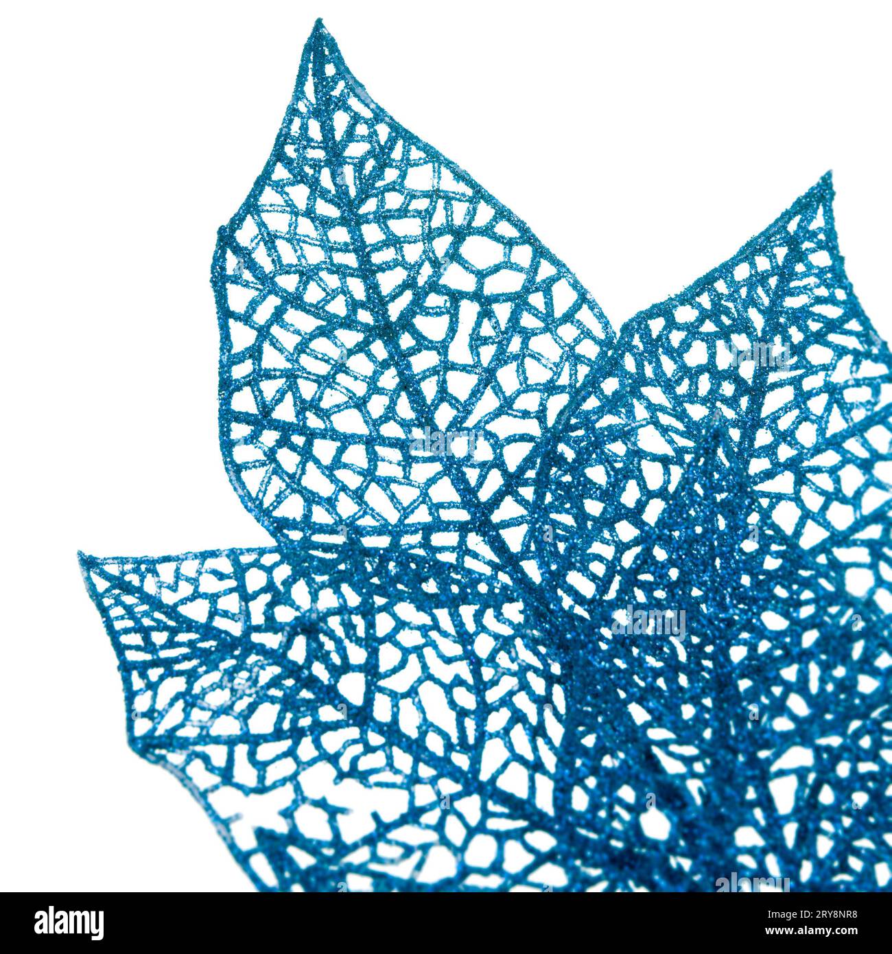 Blue leaves hi-res stock photography and images - Alamy