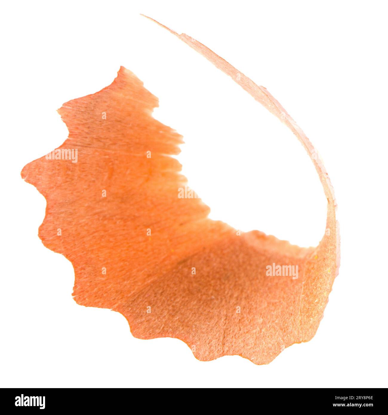 Pencil shaving tree hi-res stock photography and images - Alamy