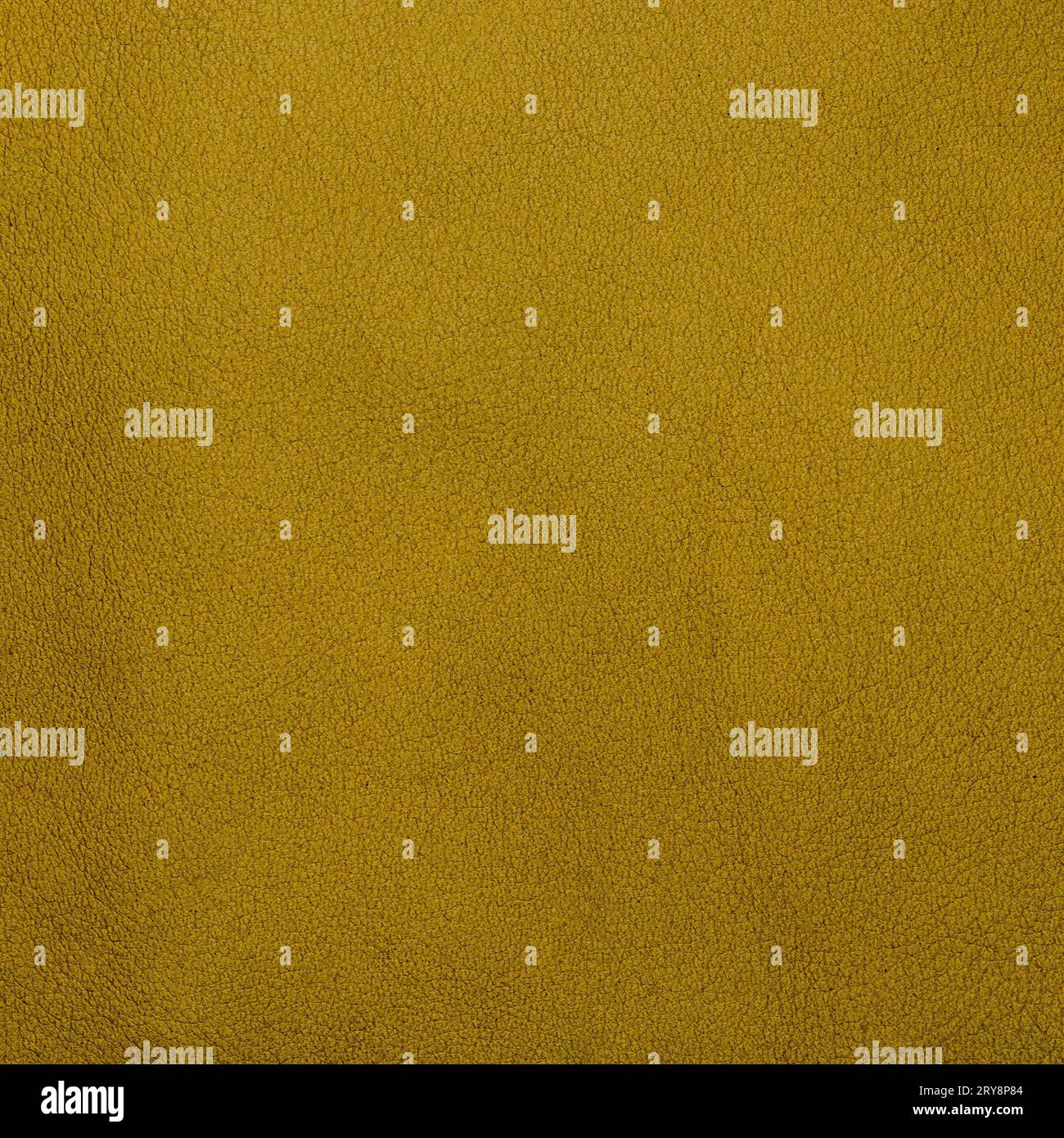 Green leather texture closeup Stock Photo - Alamy