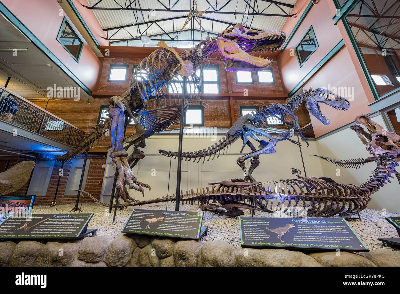 Wichita art museum wichita hi-res stock photography and images - Alamy